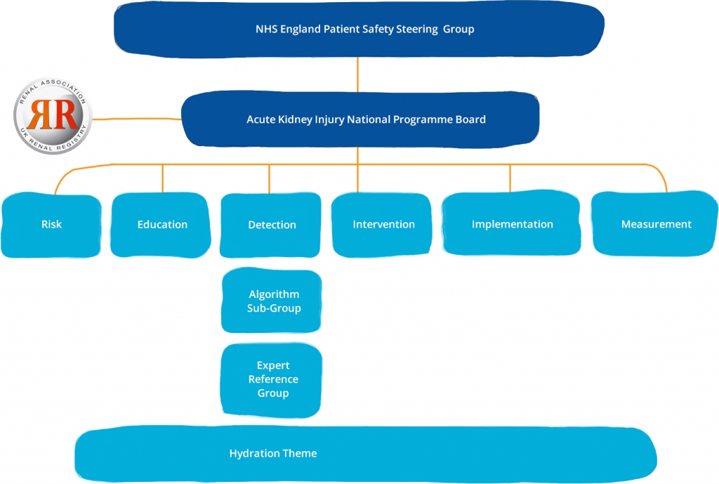 structure-of-the-aki-programme-board-and-workstreams - Chronic Kidney ...