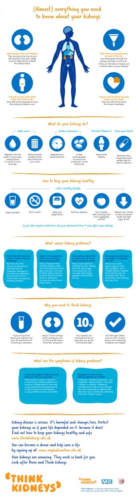 Think Kidneys - (Almost) everything you need to know about your kidneys ...